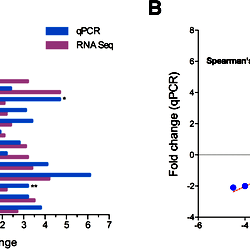 qPCR validation of RNA-seq findings.
