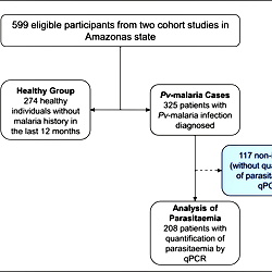 Study and data analysis flow chart.