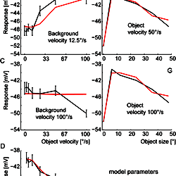 Performance of the IDI model.