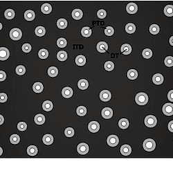 Schematic representation for the compression and boundary conditions of ...