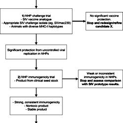 Proposed Strategy for the Effective Use of NHPs in Preclinical Testing ...