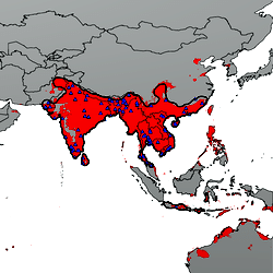 Current predicted range of the Burmese Python (Python molurus) in ...