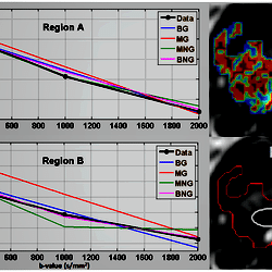 Measured mean S/S0 and fitted curves in semi-log from two different areas within a ROI of a ...