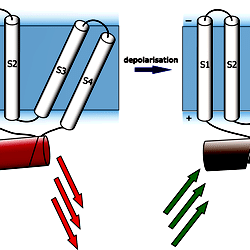 Schematic illustration of a sensor design principle.