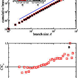 Allometric scaling.