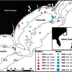 Thirty temperate reefs, including natural (blue circles) and artificial ...