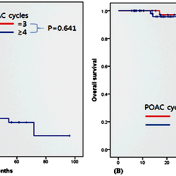 Kaplan-Meier survival curves for patients who attained complete ...