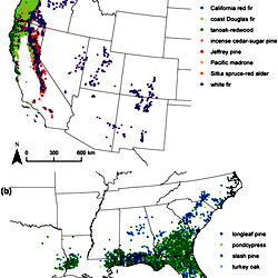 Forest inventory plots symbolized according to their membership in ...