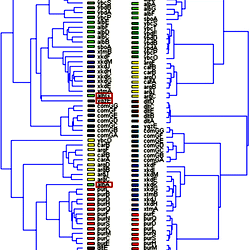 The unsupervised results of the dendrogram algorithm applied on the ...