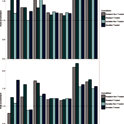 MicroDNA are significantly enriched in coding and active genomic regions.