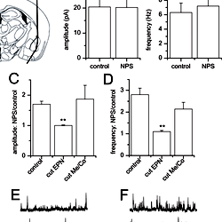 Effects of mechanical circuit dissection.