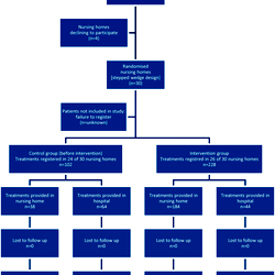 Flowchart showing nursing home and patient recruitment.
