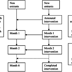 Activities and outcomes.