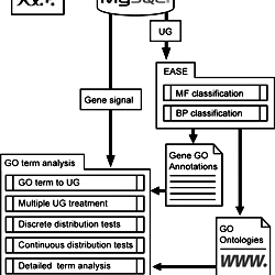 Exon array analysis workflow-gene-level signals are calculated from normalized exon array CEL ...