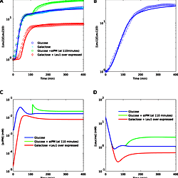 Overview of Time Course Data and Model Predictions