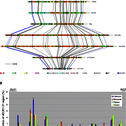 Comparative Analysis of Inter-ECR Zones in the DLK1-DIO3 Domain
