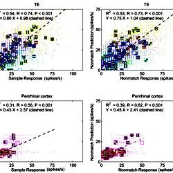 Predictions of responses by the deterministic model simulation.