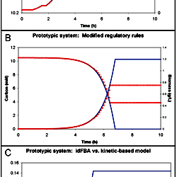 Dynamic profiles of the prototypic integrated system under different ...