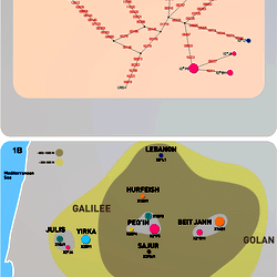 Haplogroup X in Galilee Druze.
