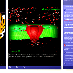 Tutorial with molecular visualization.