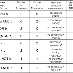 Two-input Boolean logic functions at the single promoter level in bacteria.