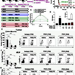 PC61 prevents activation of adaptive anti-tumor immune responses using ...