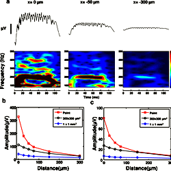 Theoretical analysis of electrode distance.