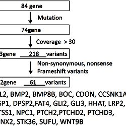 Flow chart indicating the validation process for variants.