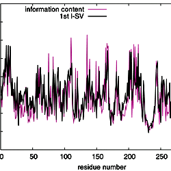 Example of the first left singular vector and information content.