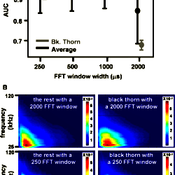 Effect of the DFT window length on classification performance.