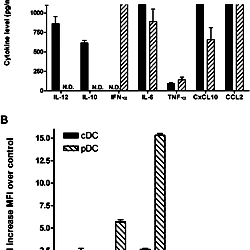 Differential activation profiles of pDC and cDC by RSV.