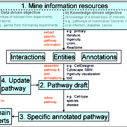 Schematic Illustrating the Biological Pathway Building Process