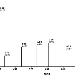 Example of a PFF spectrum from the HUPO Brain Proteome Project