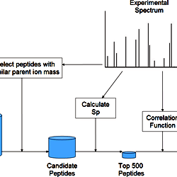 A Simplified Flowchart for the Sequest Algorithm Showing the Process by which Sequest Provides ...