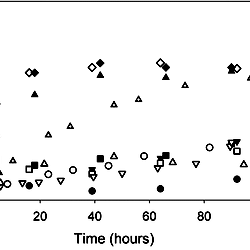 Formation of ThT-binding structures when apo SOD1 mutants and WT are ...