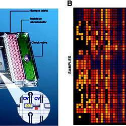 The 48.48 dynamic array chip.