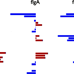Genes of Common Function Have Similar Selective Signatures