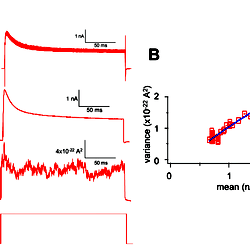 Single-channel conductance.