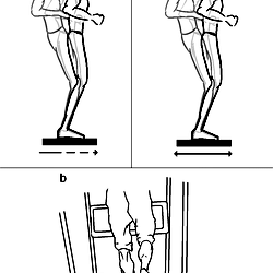 Devices and tasks involved in the objective assessment of standing ...