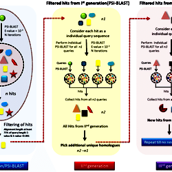Schematic comparison of PSI-BLAST and Cascade PSI-BLAST.