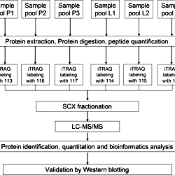 Experimental design and schematic diagram of the workflow used in this ...