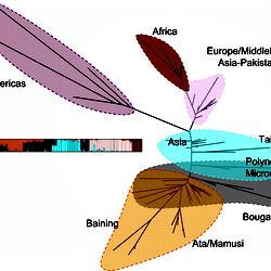 Global Population Tree
