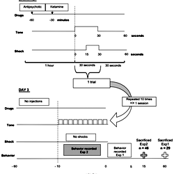 Injection and shock schedule.