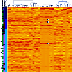 Cluster analysis of 36 MethyLight targets in 65 study sperm DNA samples.