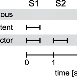 The Simulation Protocols