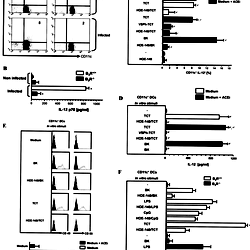 CD11c+ DCs Sense TCT via the Kinin/B2R Activation Pathway