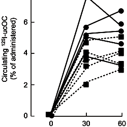 Absorption of 125I-labeled ucOC into the systemic circulation.