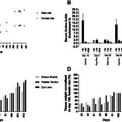 Body weight, tracer verification and tissue weight.