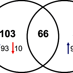 Venn Diagram of the numbers of overlapping and non-overlapping Boechera ...