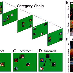 The category chain procedure.